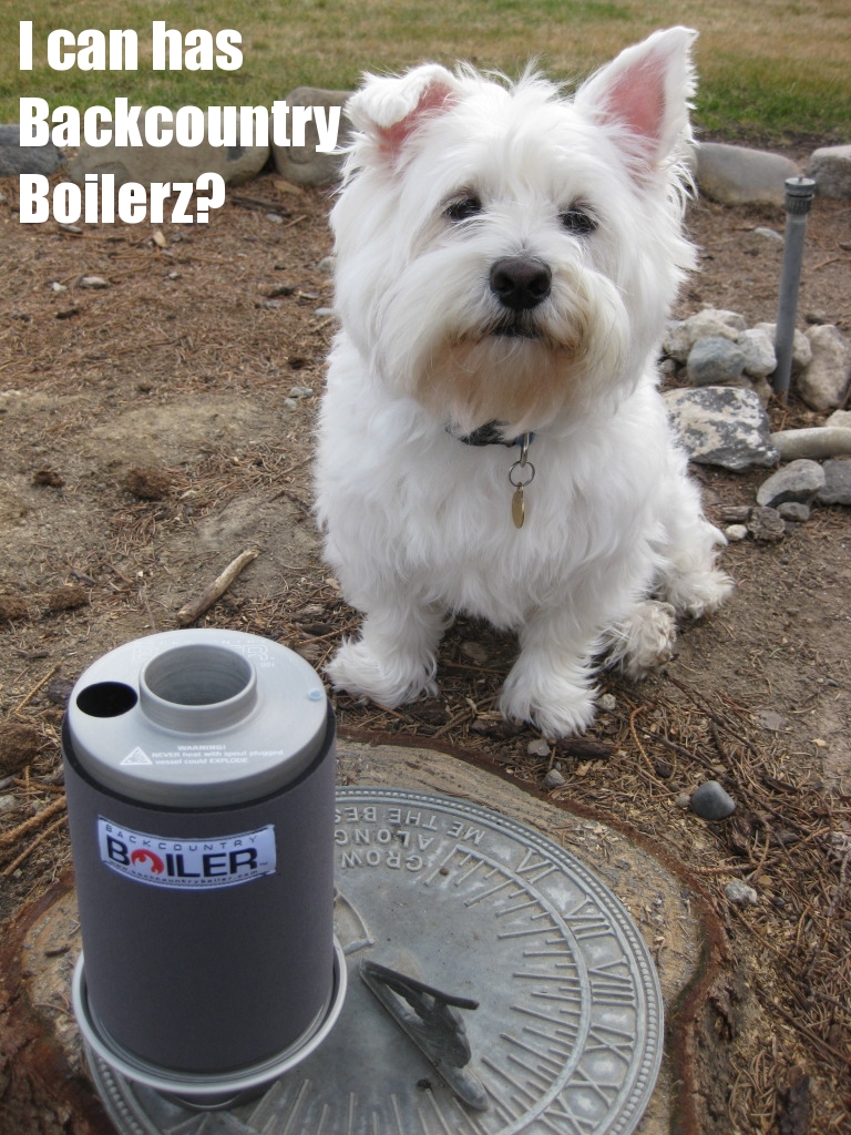People (and dogs) seem to like it!